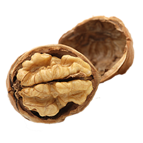 Grupe glasova ije i je; glas i slovo h