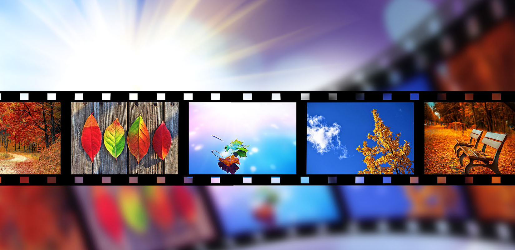 Struktura i montaža filma