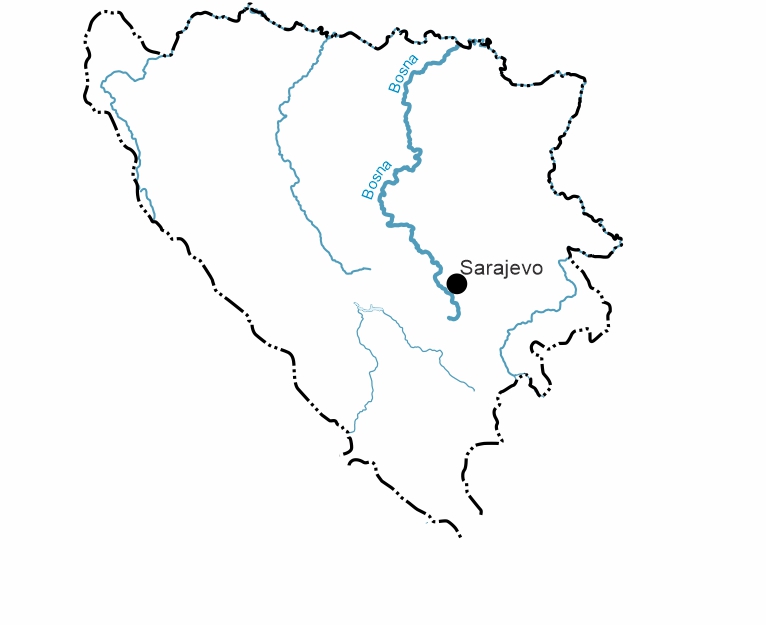 Prvi podaci o srednjovjekovnoj Bosni