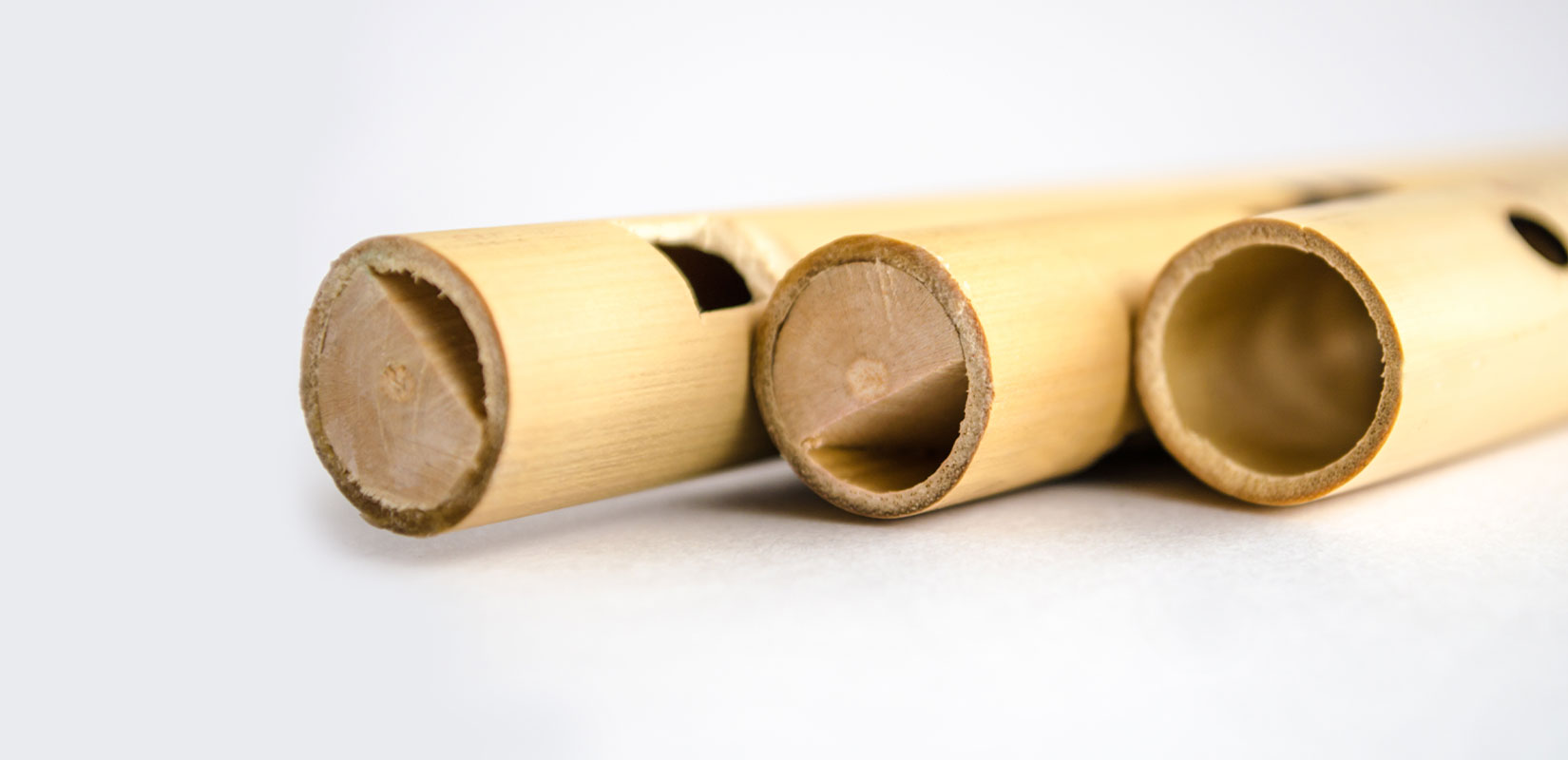 Tradicionalni aerofoni instrumenti