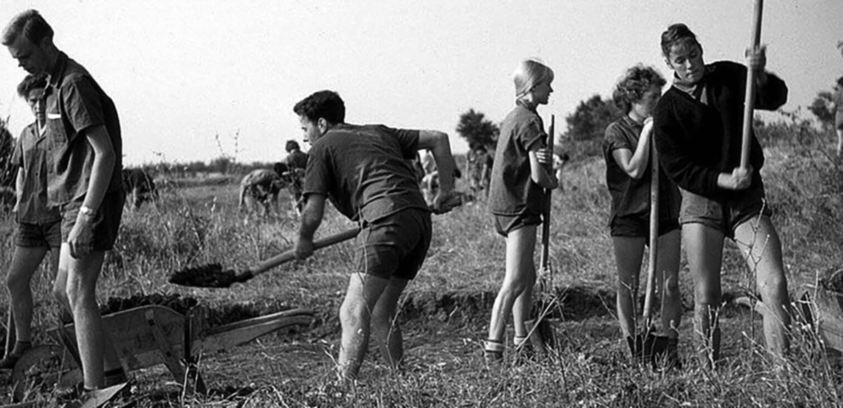 Bosna i Hercegovina u socijalističkoj Jugoslaviji